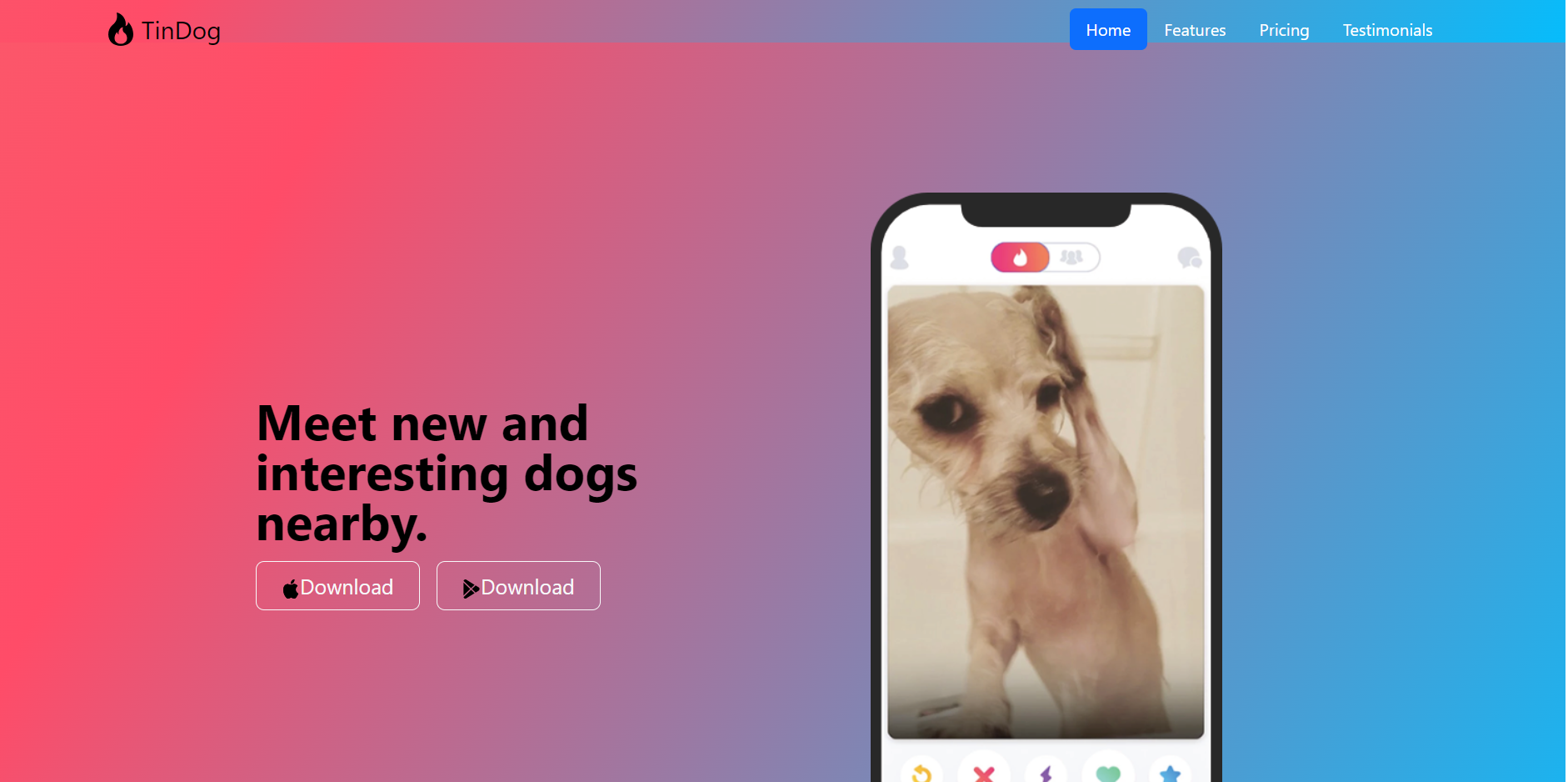 Portfolio | Arnav Ankush